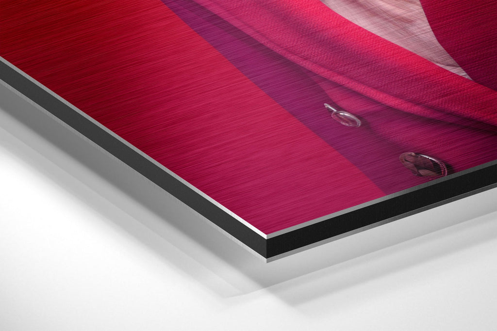 Lady Bird Brushed Aluminium Dibond Wall Art – insigneart