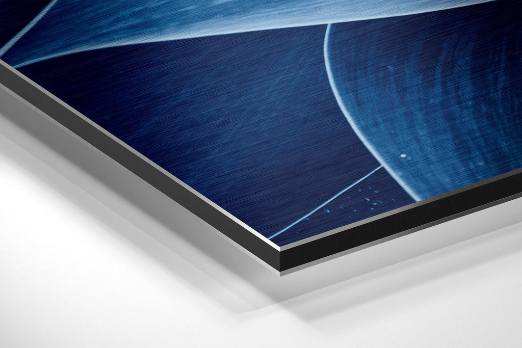 Flower Brushed Aluminium Dibond Wall Art – Insigneart EU